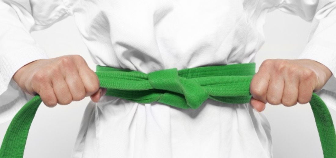 Karate Belt Levels in Order | Karate Ranking System and Colors