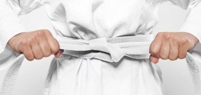 Karate Belt Levels in Order | Karate Ranking System and Colors