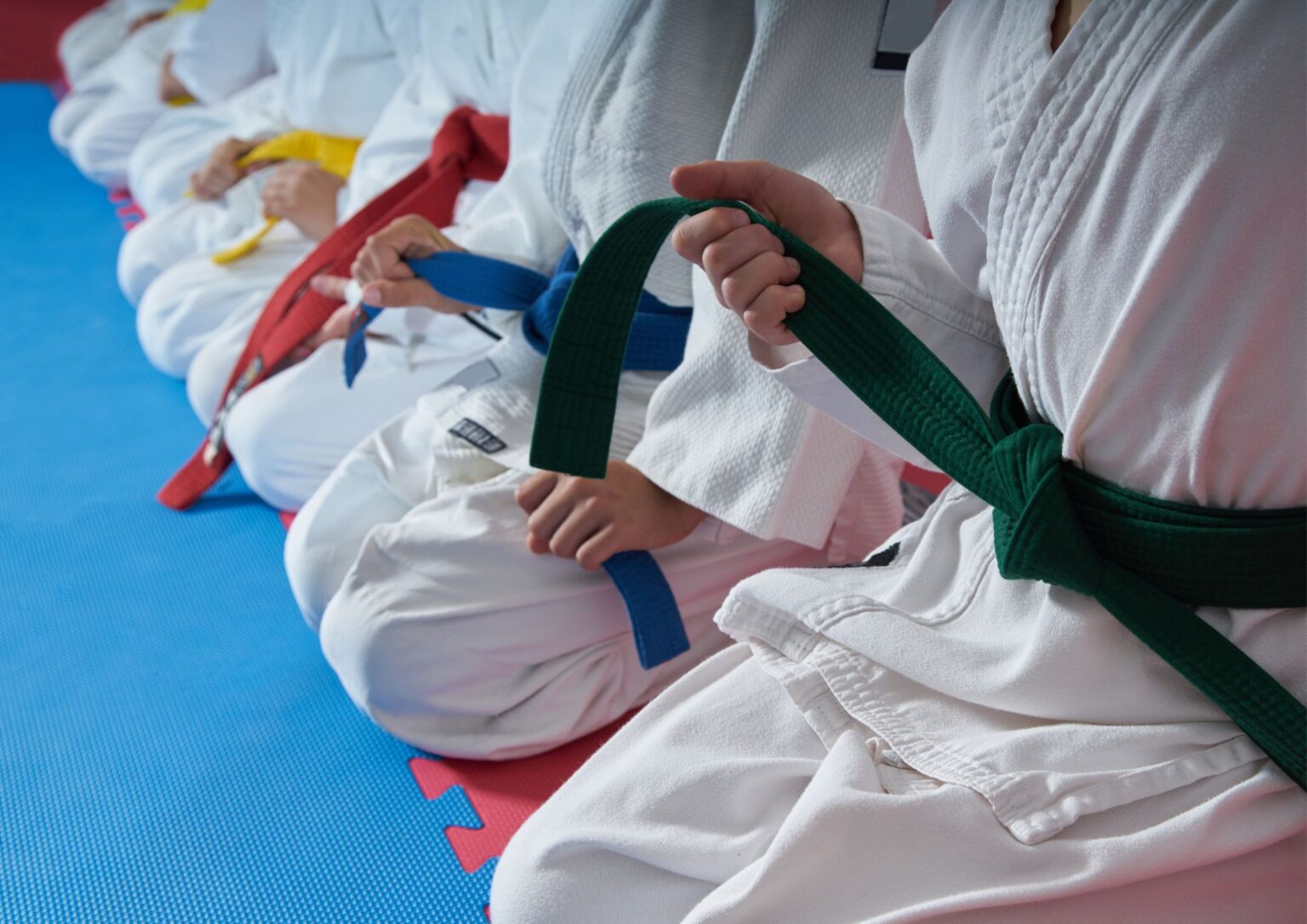 Karate Belt Levels in Order | Karate Ranking System and Colors
